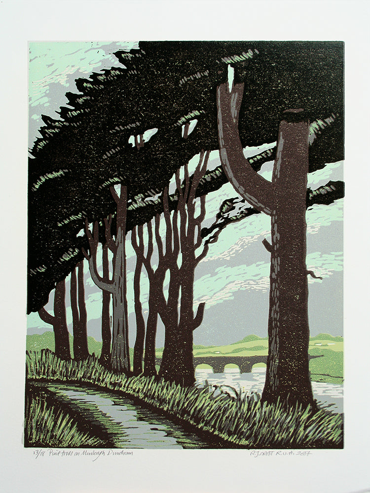 Richard Croft | Pine Trees On Murlough Dundrum 2007 | Yard Gallery
