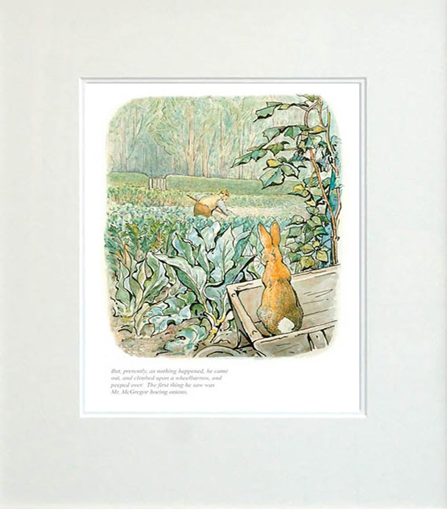 Beatrix Potter | Peter Rabbit | Yard Gallery