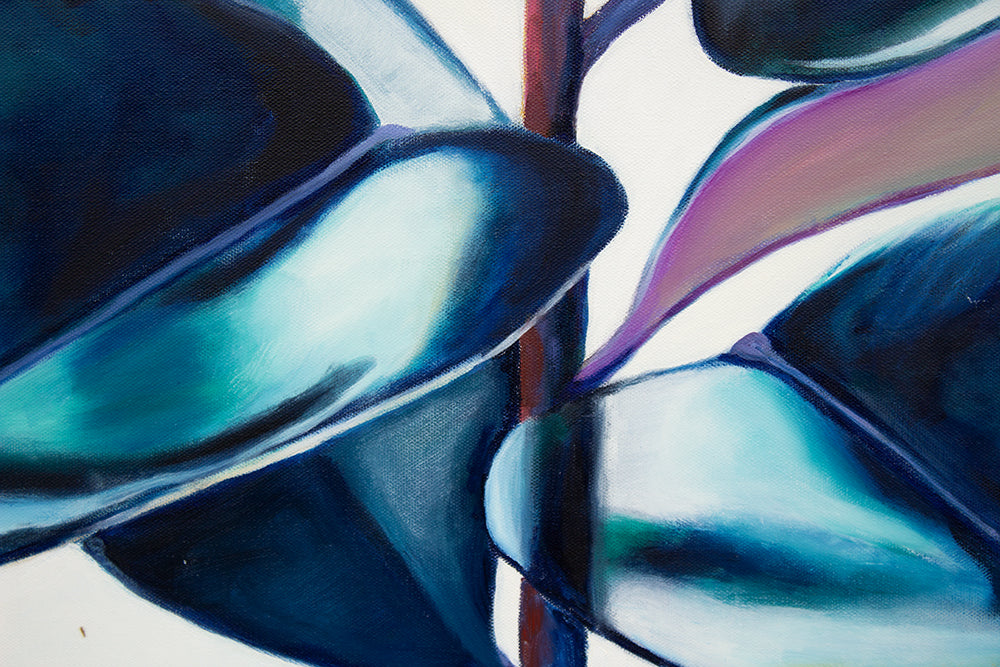 Pamela Wilson | Blue Ficus | Yard Gallery