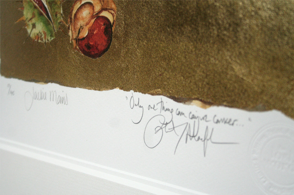 The Lost Words | Jackie Morris | Conker Premium Edition Print – Yard ...