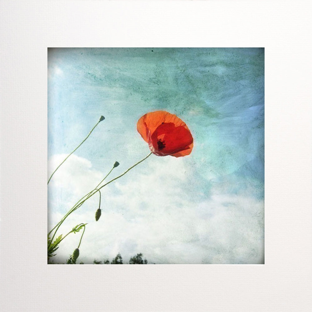 Fabienne Rivory | French Prints | Coquelicot | Yard Gallery