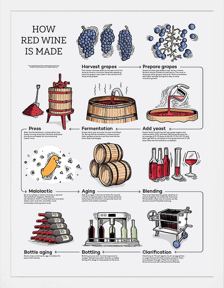 Wine Folly | How Red Wine Is Made | Yard Gallery