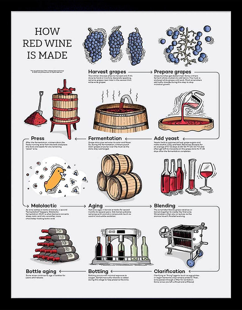 Poster How Red Wine Is Made Available In One Size Only Black Box Frame