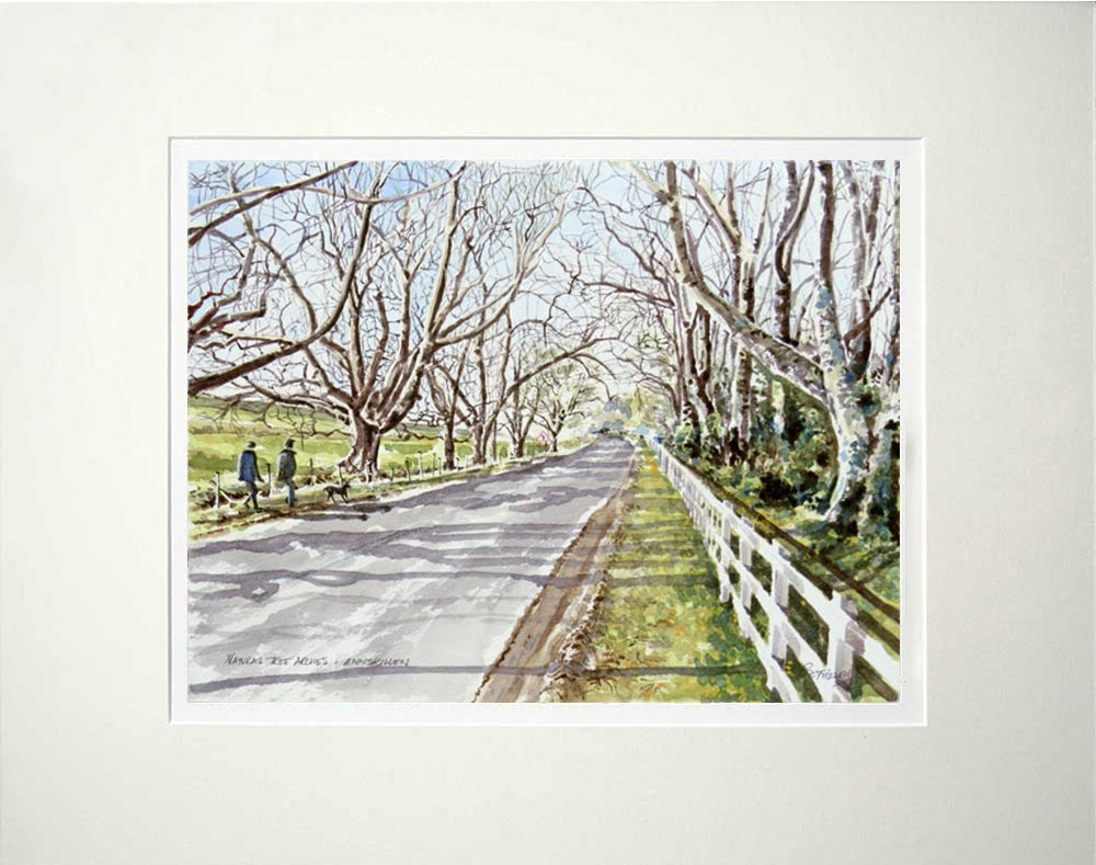 Philip Frizzell | Natural Tree Arches Enniskillen | Print – Yard Gallery