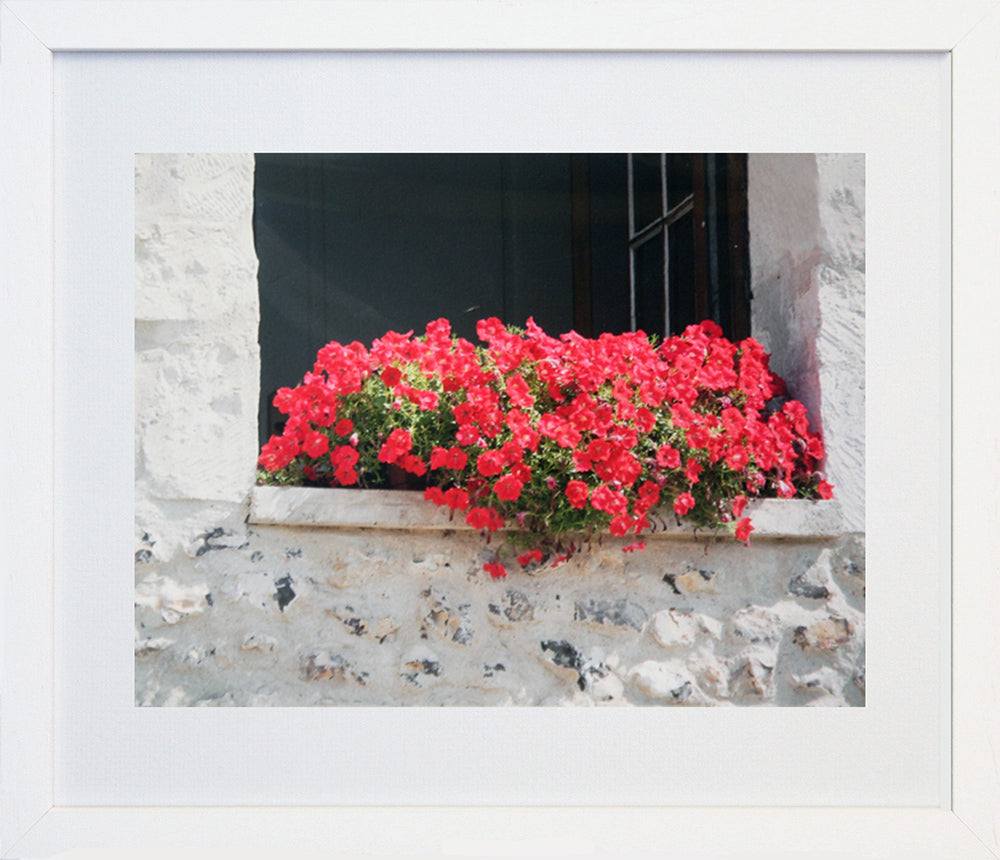 Paris Prints | Nichole Robinson | Red | Window Box – Yard Gallery