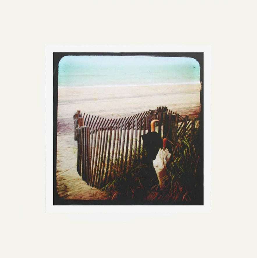 Summer Rain | Stacey Beck | Yard Gallery