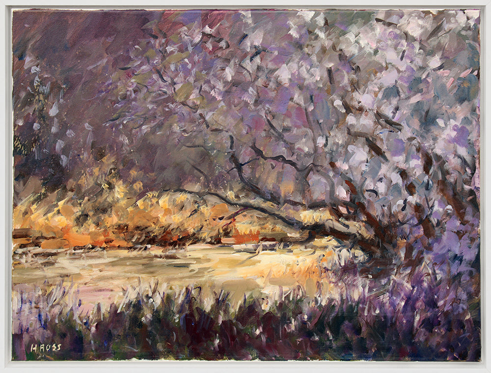 Howard Ross | Summer Bloom, Lagan Valley | Yard Gallery