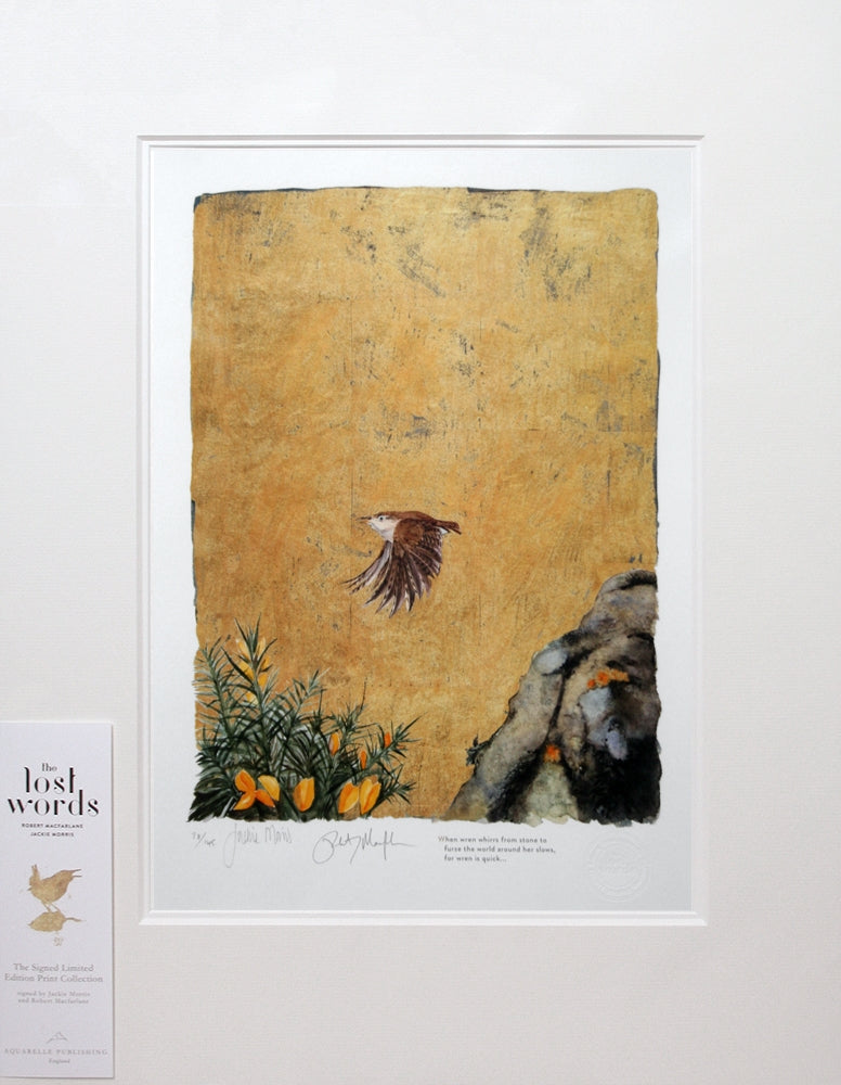 The Lost Words Prints | Jackie Morris | Wren | Yard Gallery